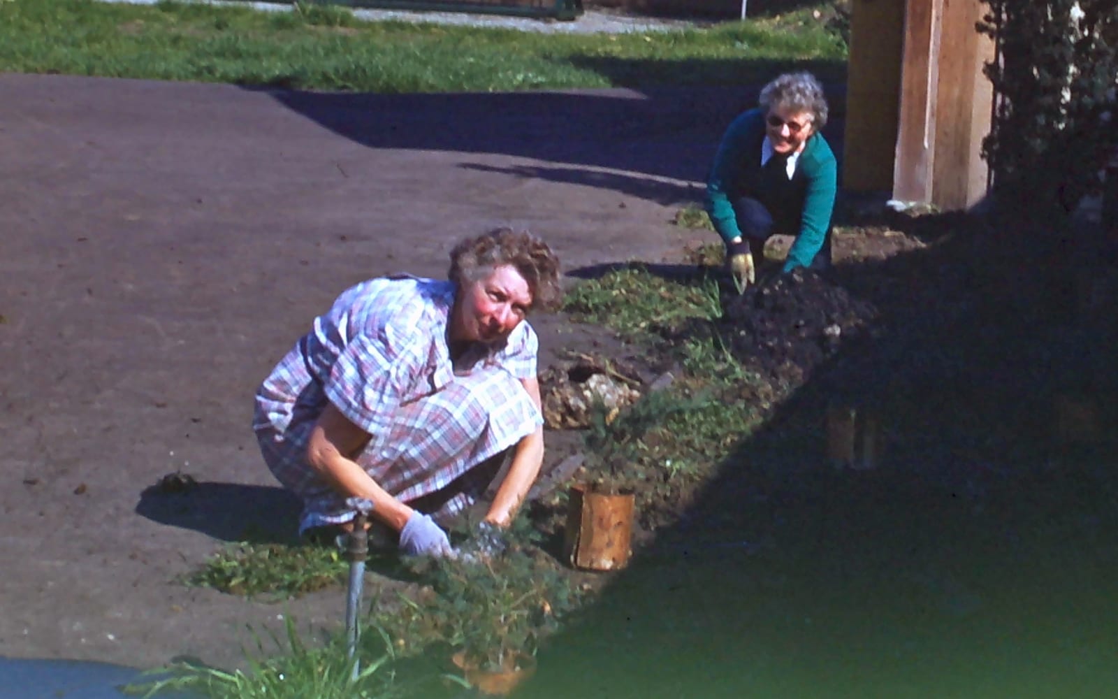 Planting Trees in 1949 - The first Work Day? - St Mark's Episcopal Church